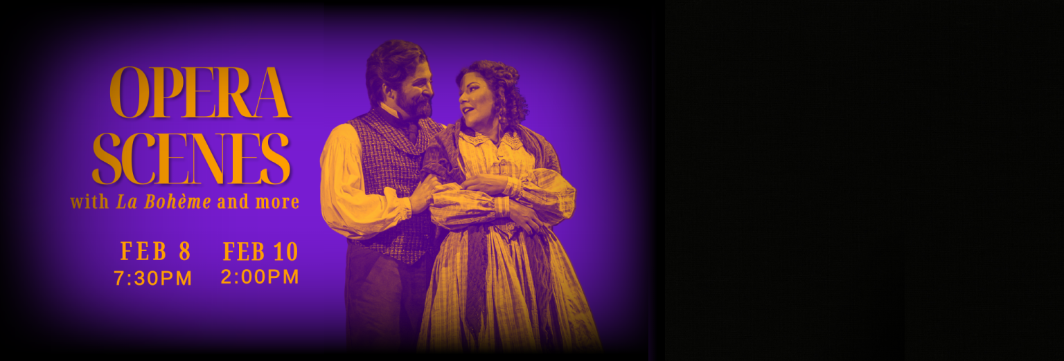 Home - St. Pete Opera